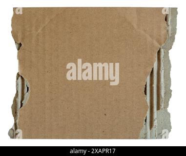 Ripped and torn cardboard paper isolated on white background. Close up ...