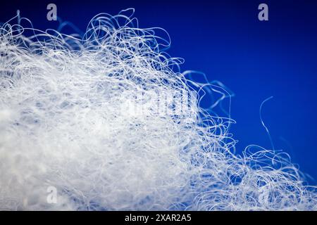 Extreme macro of polyester stable fiber on red background. Selective ...