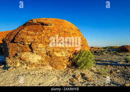 A large spherical sandstone concretion exposed fron the weathered clay ...
