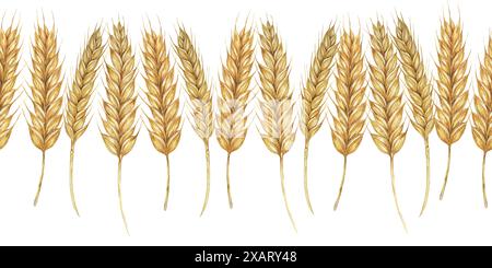 Wheat stalks seamless border, barley ears ribbon. Watercolor ...