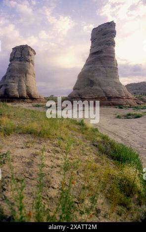The Elephant's Feet natural rock formations in Tonalea, Arizona, U.S.A ...