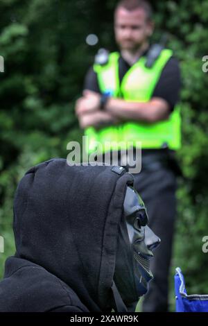 Beagle puppy face in front of light blue background Stock Photo - Alamy