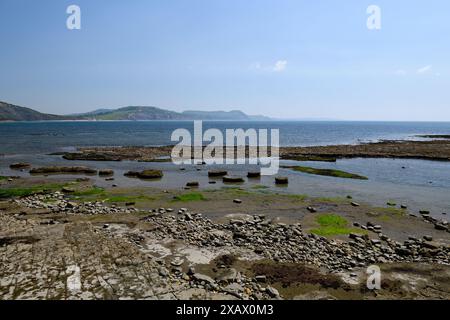 Coastline Lyme Regis Lyme Bay Somerset England uk May Spring 2024 Stock ...