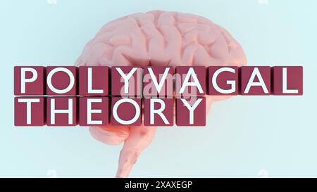 3d rendering of cubes with words "POLYVAGAL THEORY" and human brain ...