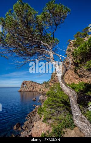 Sa Foradada, municipality of Deyá, Mallorca, balearic islands, Spain ...