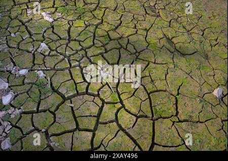 Ripped up earth in a dry carp pond, Franconia, Bavaria, Germany Stock ...