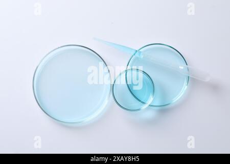 Transfer pipette and petri dishes on white table, flat lay Stock Photo ...