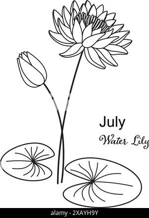 Lotus Water Lily July birth month flower line art Stock Vector Image ...