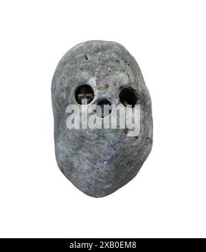 White dead coral rocks or brain coral stone isolated on white ...