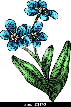 drawing forget me not sketch hand drawn vector Stock Vector Image & Art ...