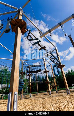 Trees of the rope park with platforms on trunks and hanging bridges ...