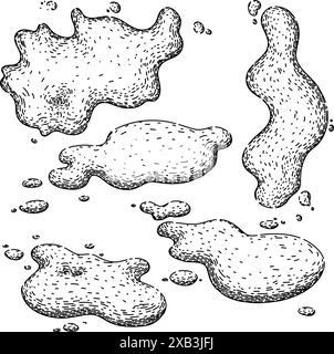 water puddle set sketch hand drawn vector Stock Vector Image & Art - Alamy