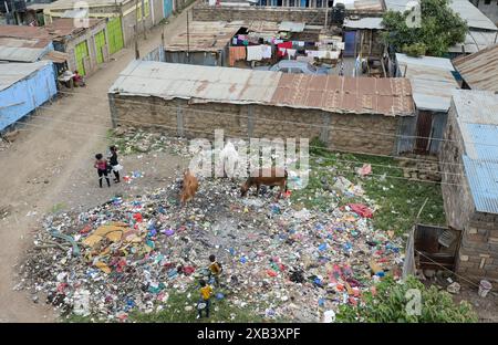 KENYA, Nairobi, township Kasarani, plastic garbage and cows / KENIA ...