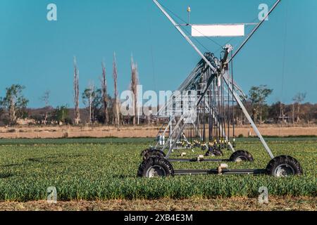 Pivot irrigation system, in the desert in Mendoza. Aerial view. Solar ...
