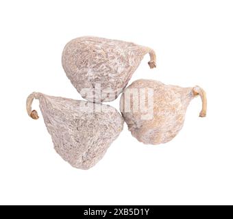 dried baby figs isolated on white background with clipping path, whole ...