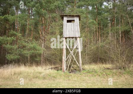 A deer hunting pulpit at the edge of a forest Stock Photo - Alamy