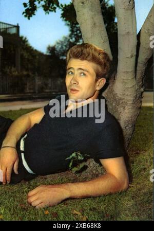 1955 , USA : The movie actor JAMES DEAN ( 1931 - 1955 ) with NATALIE ...