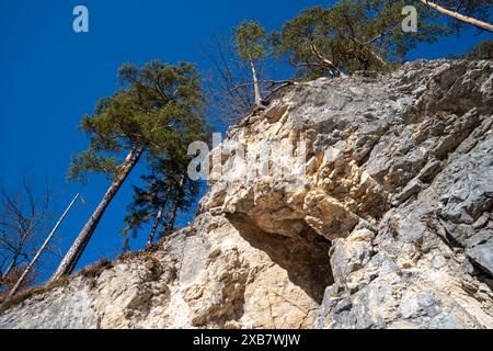 Rocky cliff covered with bushes on calm sea on sunny day Stock Photo ...