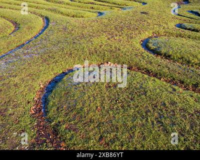 Miz-Maze, St Cathrins Hill, Winchester, Hampshire, England, UK, GB ...