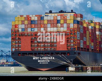 International Trade - MSC Lorenza Container Ship arrives at Felixstowe ...