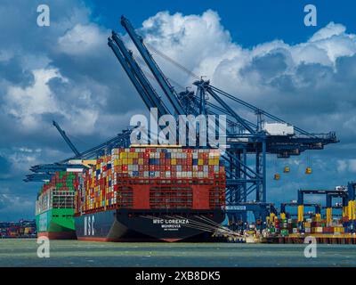 International Trade - MSC Lorenza Container Ship arrives at Felixstowe ...