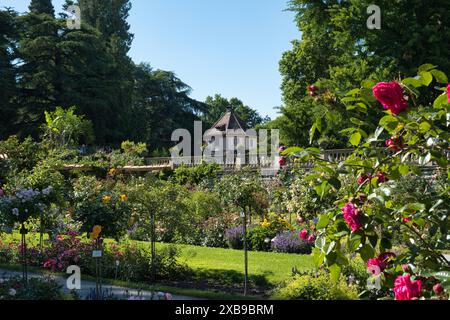 Insel Mainau, Sommer im italienischen Rosengarten *** Mainau Island ...