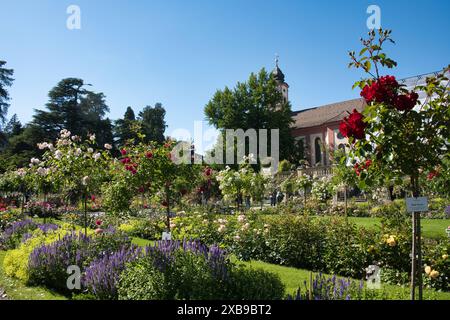Insel Mainau, Sommer im italienischen Rosengarten *** Mainau Island ...
