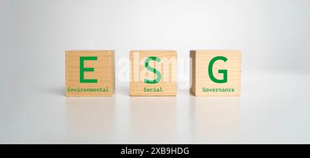 The acronym "ESG" (environmental social governance) using cut-out paper ...