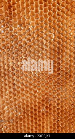 Illustration of shiny honeycomb gold background. Neural network AI ...