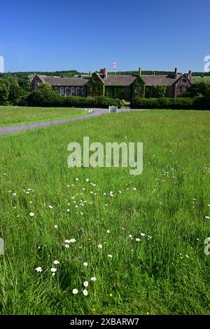 Wildflower meadow in front of Littlecote House, an Elizabethan mansion ...