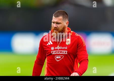 Martin Adam (9, Ungarn) GER, Training Ungarische Nationalmannschaft ...