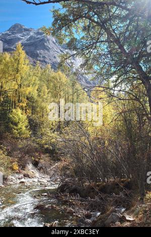 The Autumn in Siguniang Mountain at west of the capital city of Chengdu ...