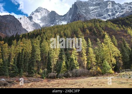 The Autumn in Siguniang Mountain at west of the capital city of Chengdu ...