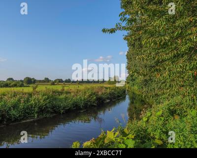 A small river flows under the trees Stock Photo - Alamy