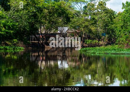 Ucayali river near Pucallpa Stock Photo - Alamy