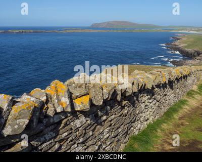 Stone wall with seaweed in the foreground, behind it sea and green ...