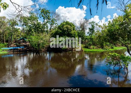 secondary channel of the Ucayali River near Pucallpa Stock Photo - Alamy