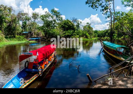 secondary channel of the Ucayali River near Pucallpa Stock Photo - Alamy