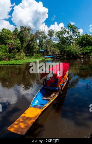 secondary channel of the Ucayali River near Pucallpa Stock Photo - Alamy