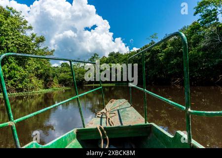 secondary channel of the Ucayali River near Pucallpa Stock Photo - Alamy