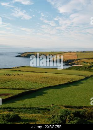 The summer farmland coastal landscape of the Llyn Peninsula at Mynydd ...