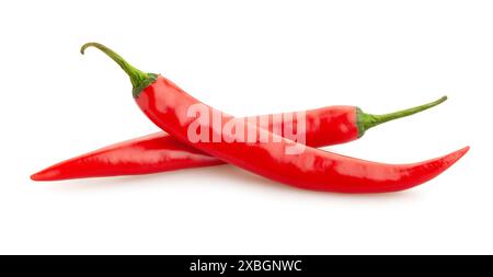 Two red long pepper on blue bacground Stock Photo - Alamy