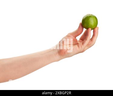 lime in hand path isolated on white Stock Photo - Alamy