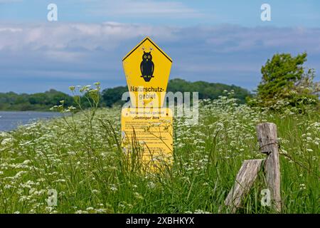 information sign, Gelting Birk Nature Reserve, Gelting Bay, Schleswig ...