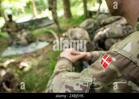 Conscripts from The Royal Life Guards during REX-tour at Kulsbjerg ...