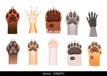 Fennec fox paw cartoon simple animal part design vector illustration ...