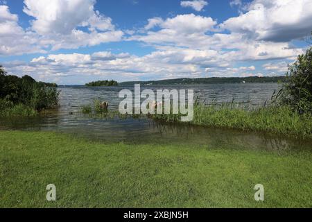 Feldafing, Bayern, Deutschland 12. Juni 2024: Ein Sommertag bei ...