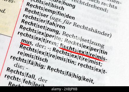 Symbol image Rechtsextremismus (Right-wing extremism), excerpt from the ...