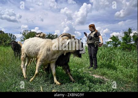 Non Exclusive: ORIKHIV, UKRAINE - JUNE 10, 2024 - A ditch is seen in ...