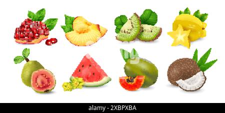 Set of Exotic Fruits, realistic design vector illustration close-up ...